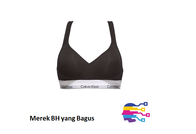 19 Merek BH yang Bagus untuk Berbagai Kebutuhan Wanita – Inspira Media